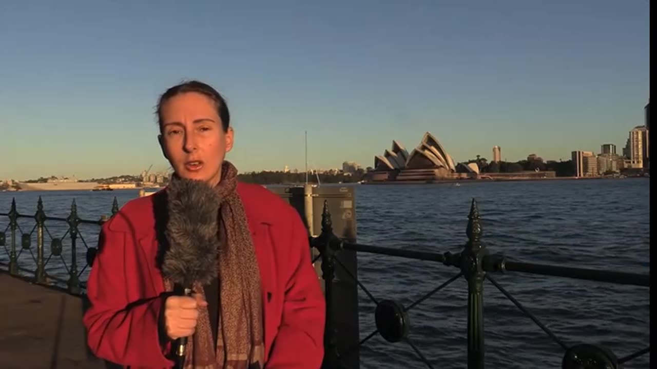 Alison Bevege _ Forest of the Fallen takes off around Australia: YOU ...