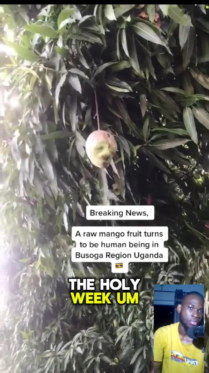 On good friday mango with a human face was discovered in uganda