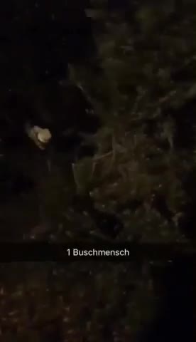 Guy falling into bush