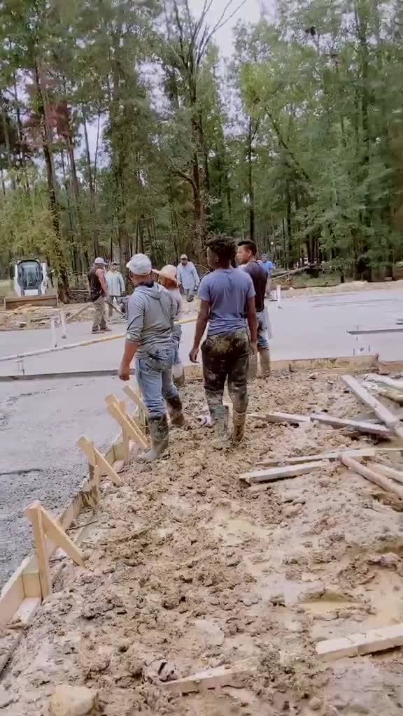 Dog Wanders Over Fresh Cement