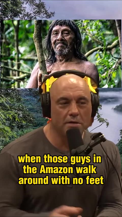 Joe Rogan & David Sinclair