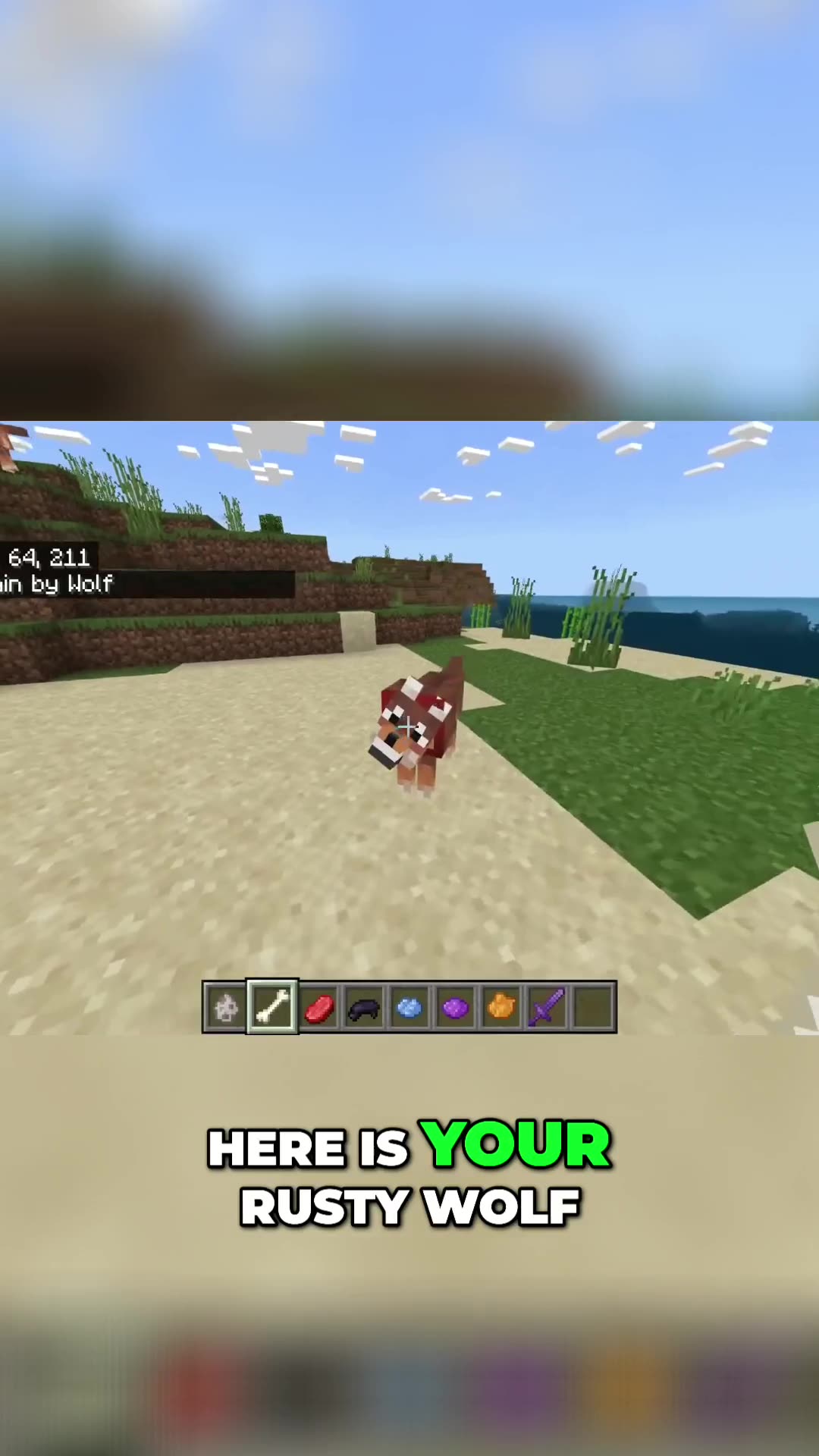 The Evil Eyes of a Rusty Wolf: Unveiling the Sinister Side of Nature