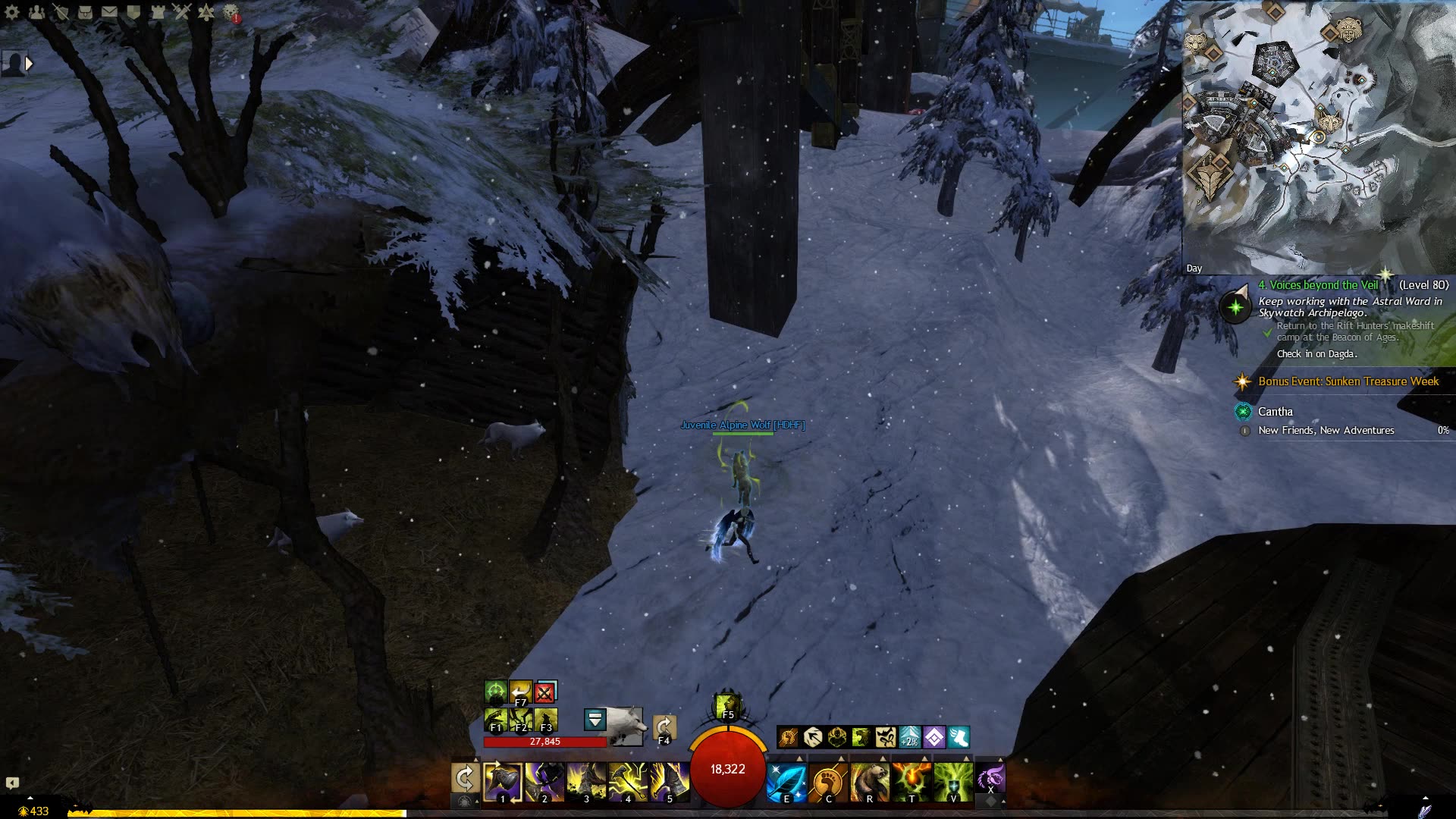 Gw2 - Ranger Juvenile Alpine Wolf Pet Location (Hoelbrak)