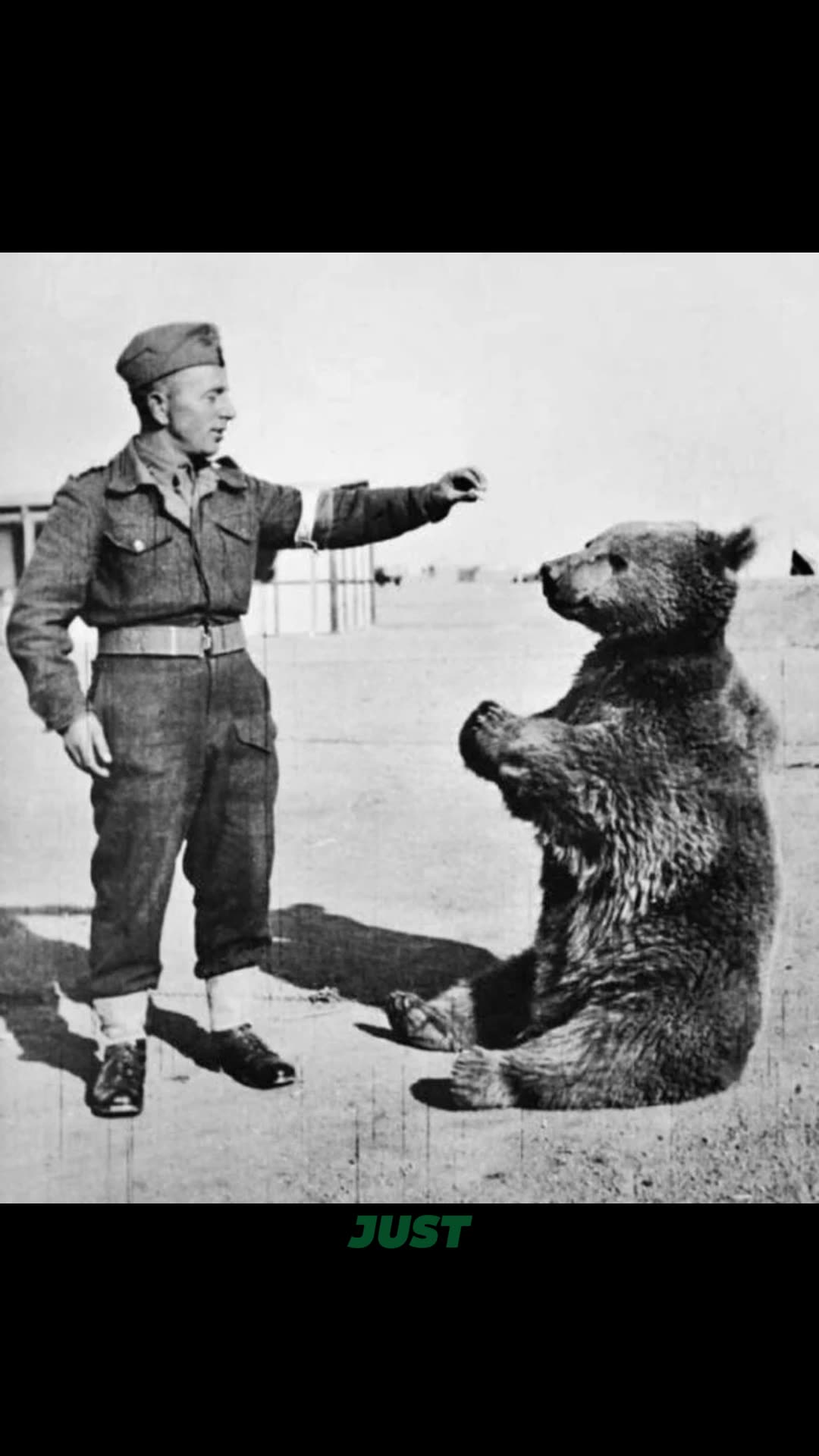 Bored Prince & Beer-Chugging Bear: Hilarious Untold Stories from ...