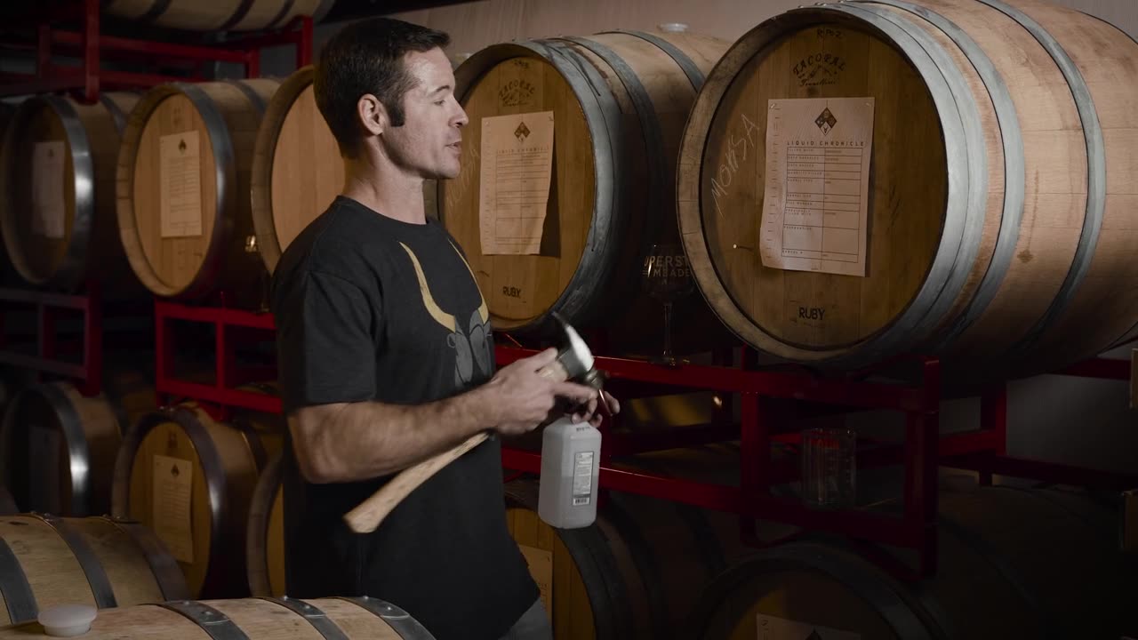 ️ BRINGING BACK THE WORLD'S OLDEST FERMENTED BEVERAGE | VID BY PARAGRAPHIC