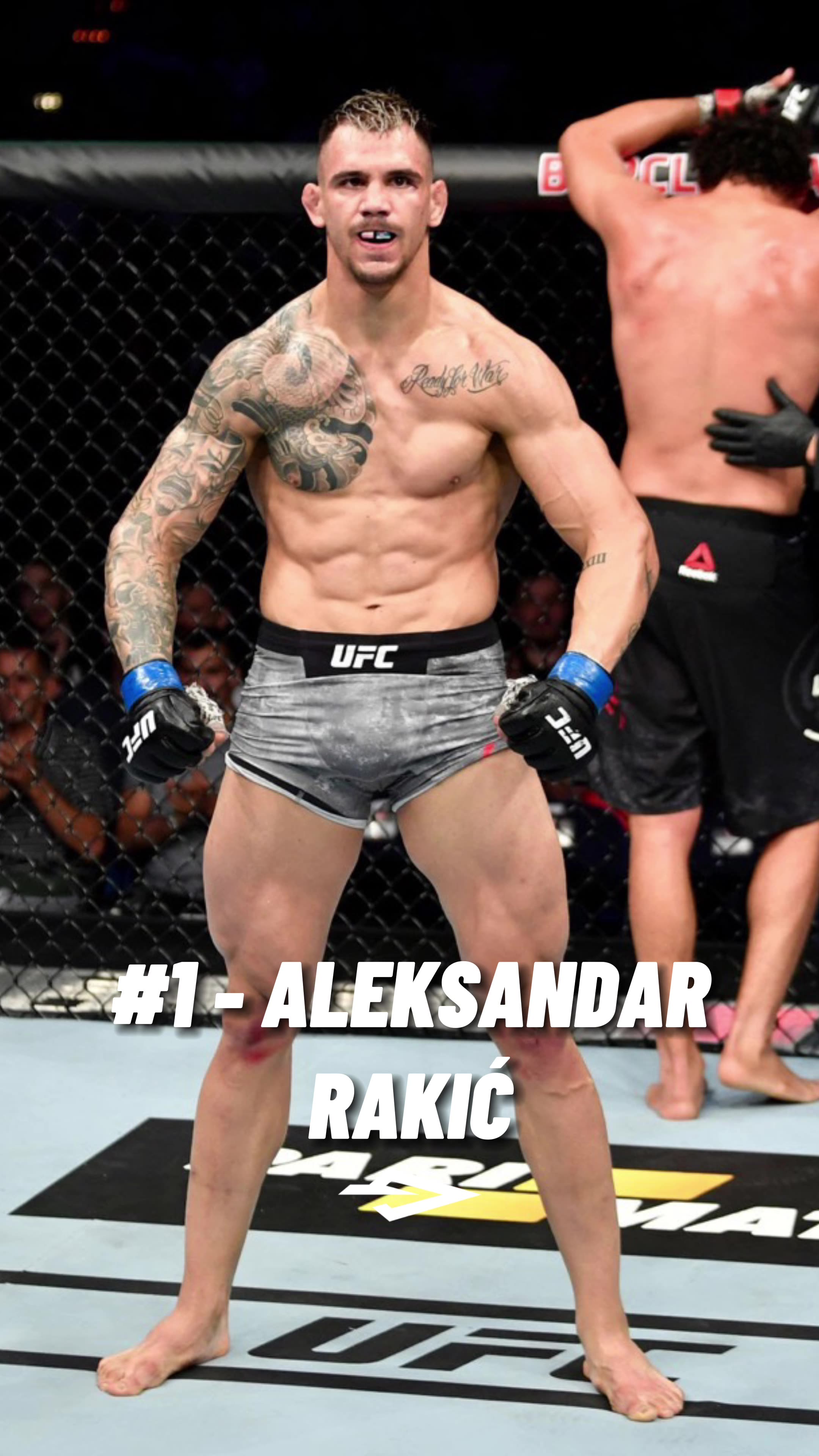 TOP 5 AUSTRIAN MMA FIGHTERS