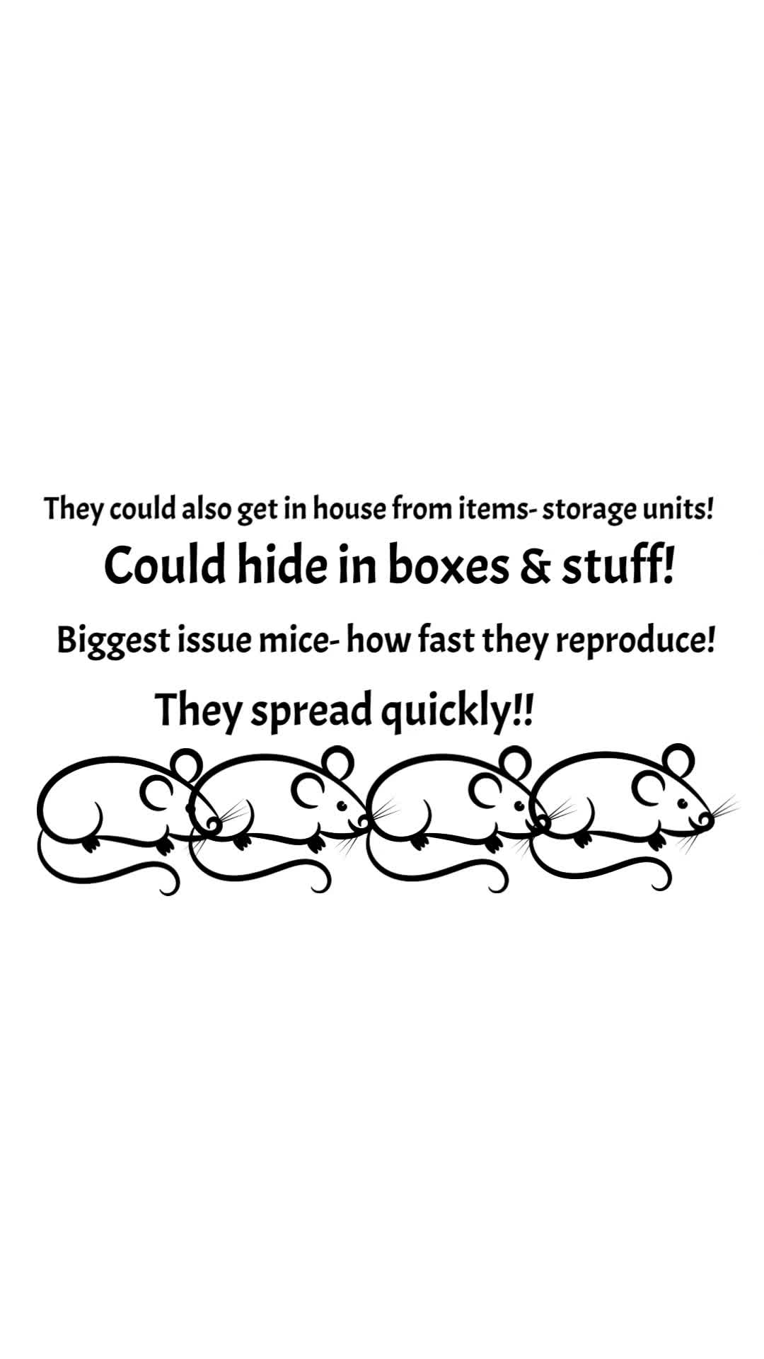 Where do mice come from? 😉 Where do rodents come from? 🤷‍ Short 1 ...