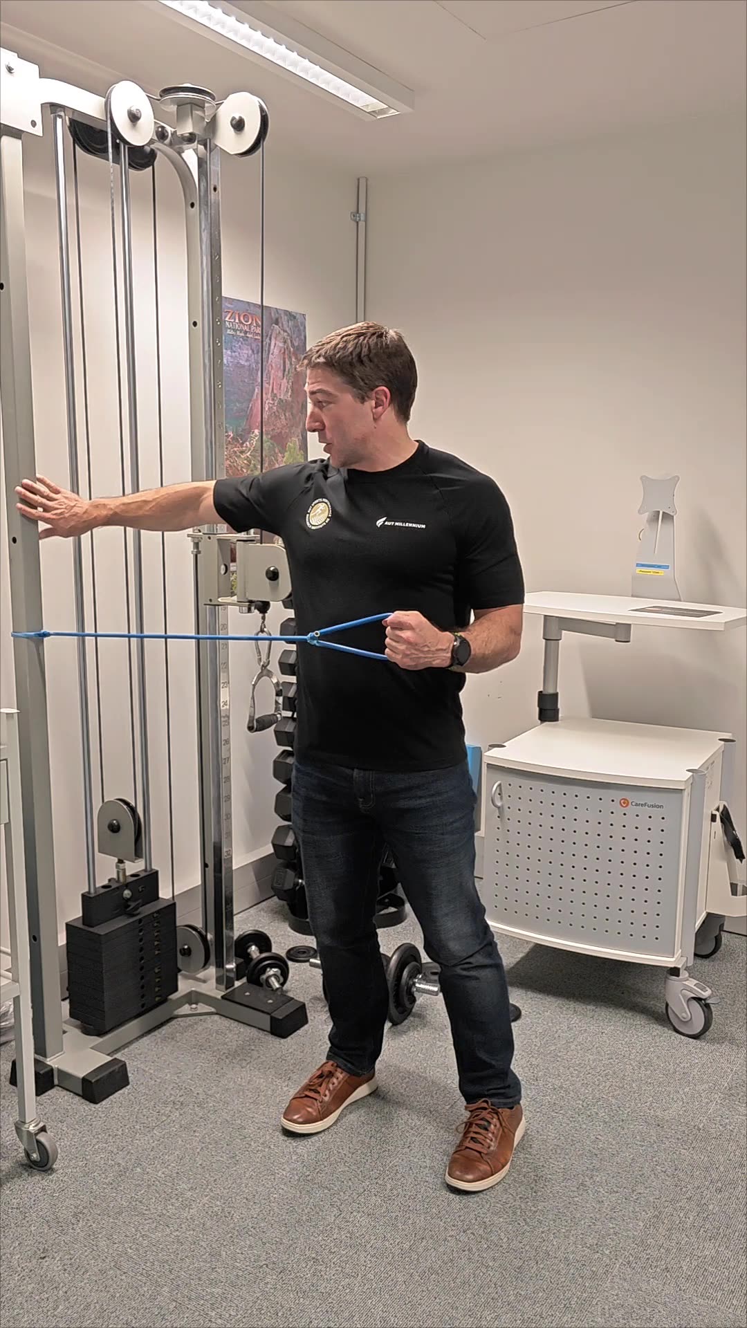 Shoulder external rotation (eccentric)