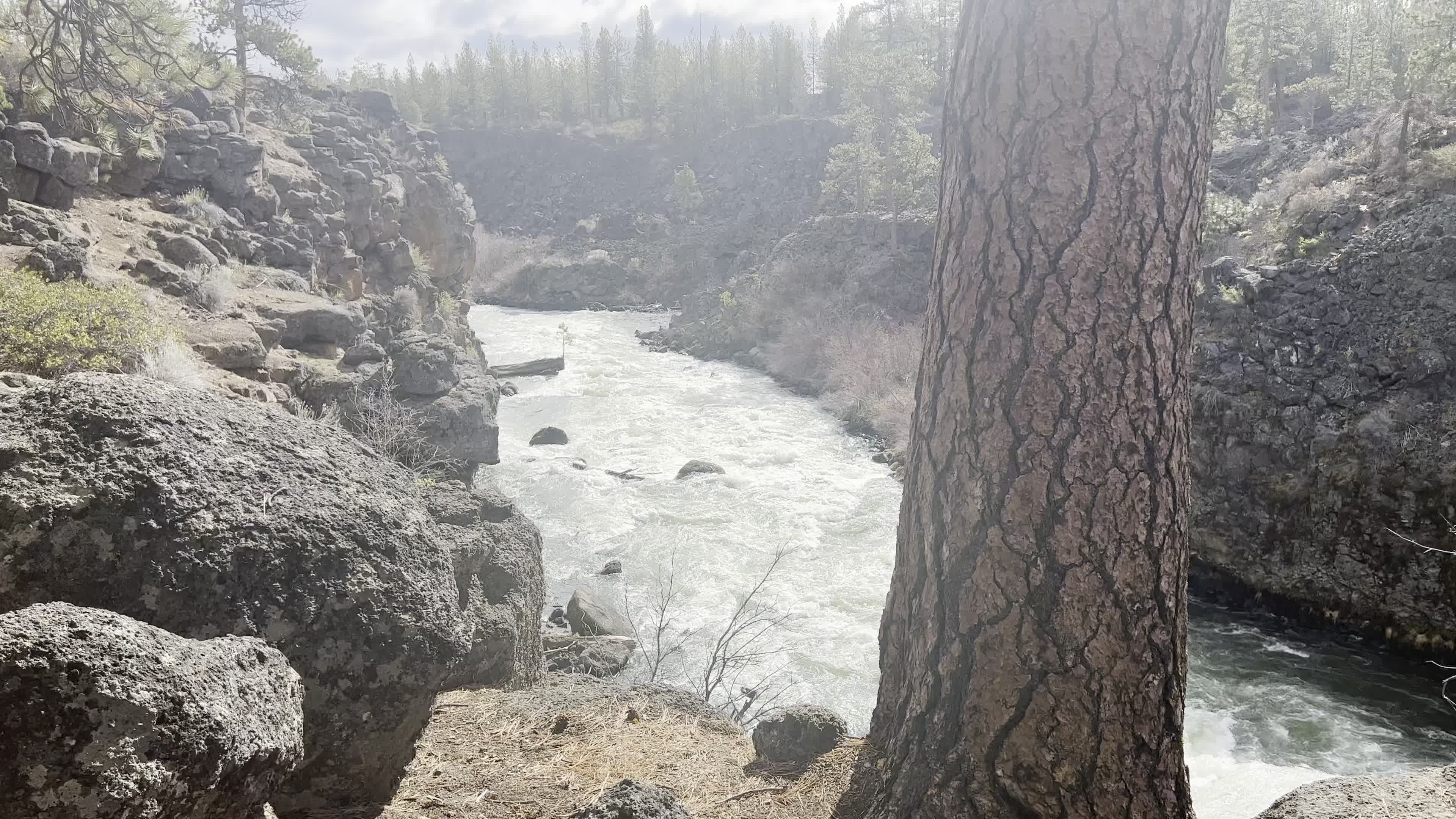Truly Incredible Dillon Falls Volcanic Canyon Basin – Deschutes River ...