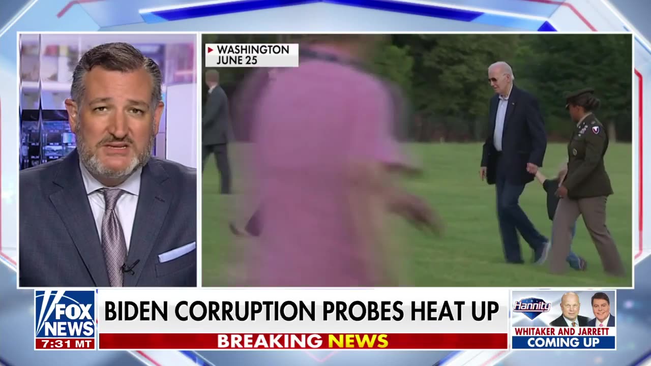 This was designed to get Hunter ‘zero jail-time’ and protect the 'big ...