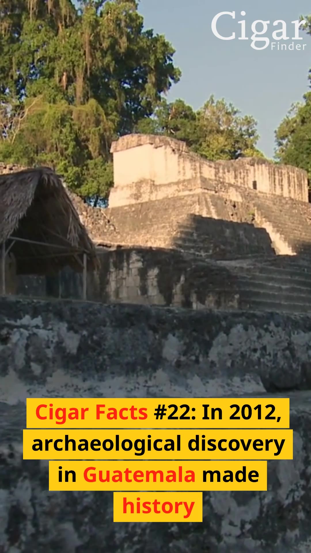 Discovery of the Oldest Cigars in the World Still Smokeable!!! Cigar ...