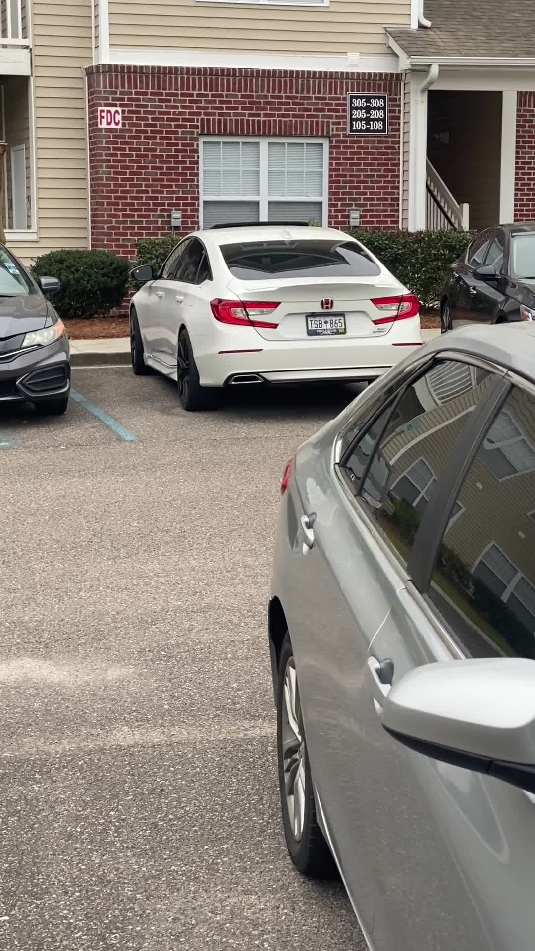 Gator Seems to Respond to Sound of Car Engine