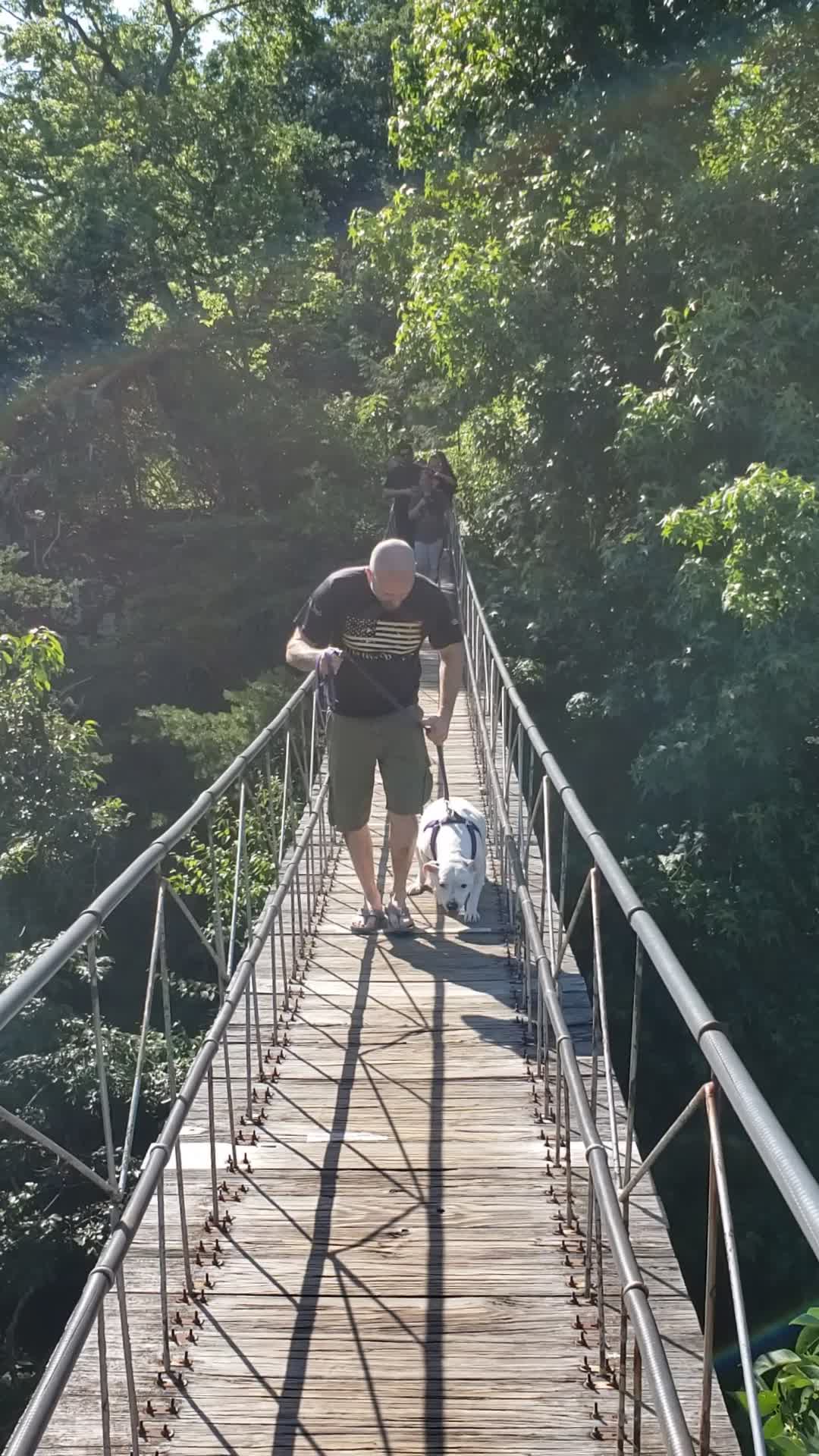 Dad Helps Dog Hesitant to Cross Bridge