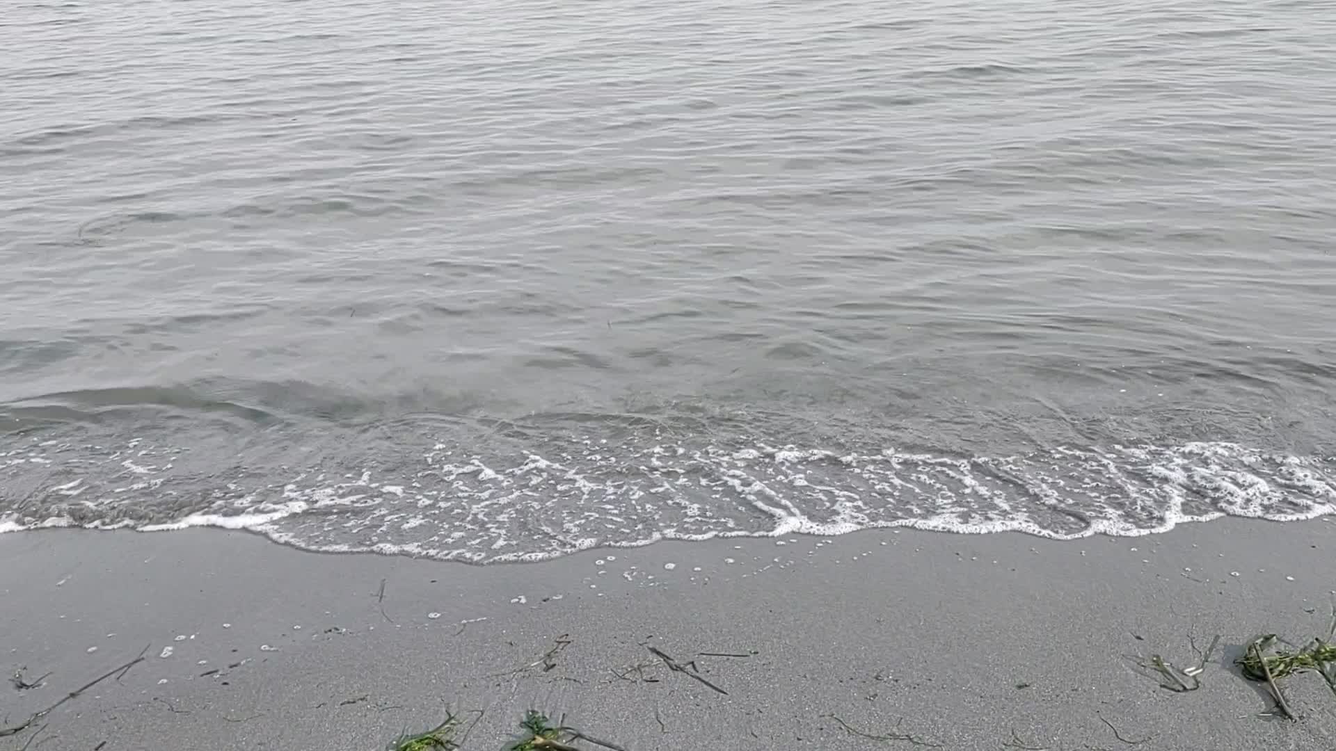 Puget Sound Waves ASMR