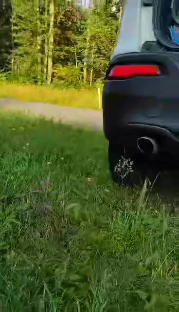 Ground hog was trapped