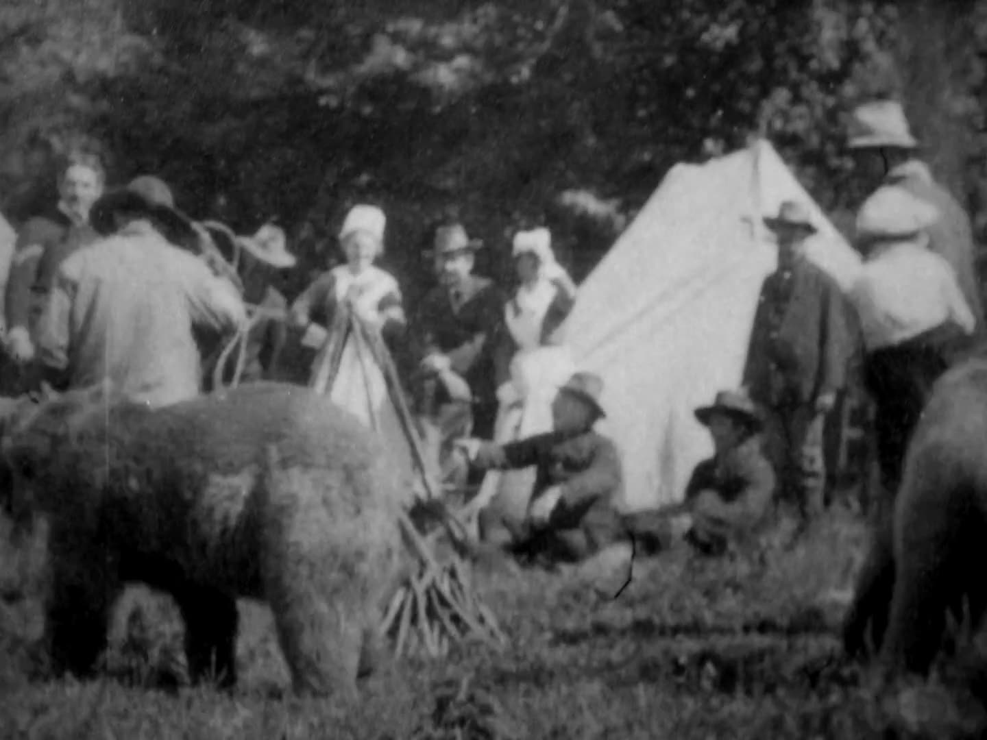 Soldiers & Red Cross Nurses In U.S. Infantry Camp (1899 Original Black ...