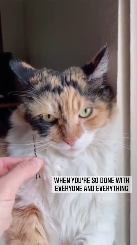 When your are soo done with humans