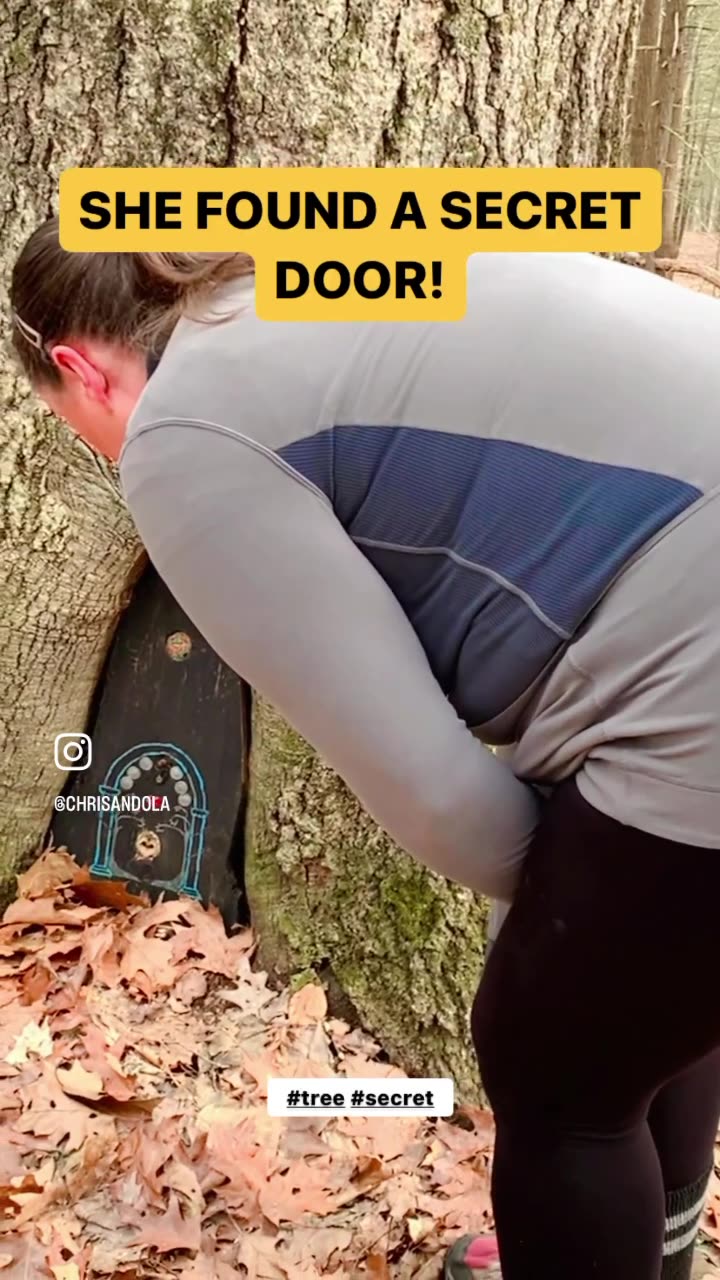 SECRET TREE DOOR | Should she knock?