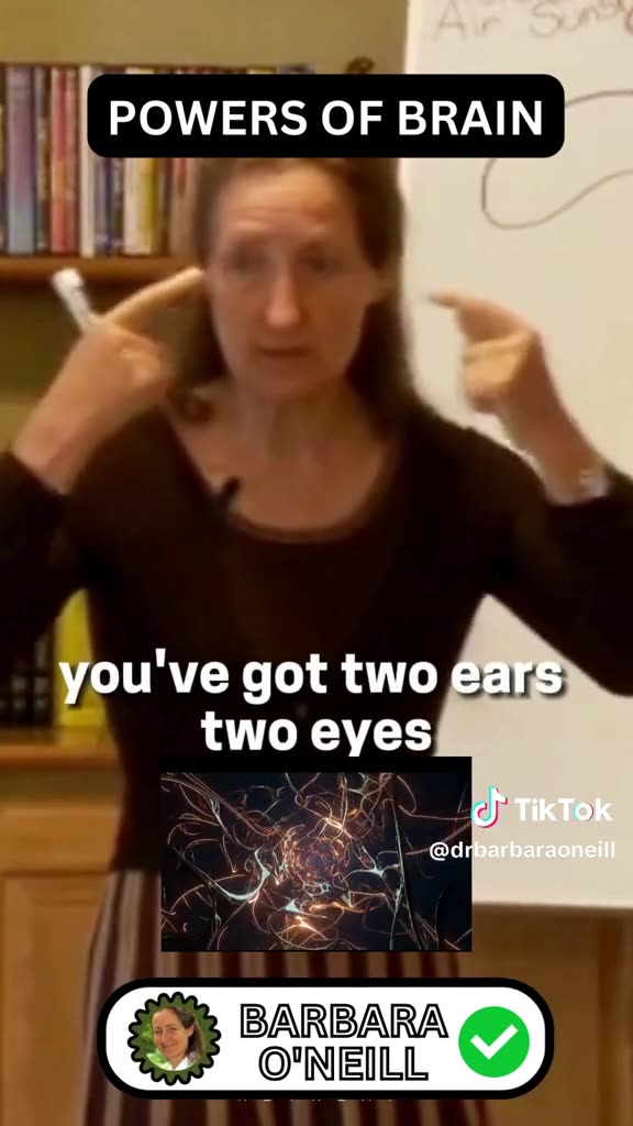 the power house of the body is the brain