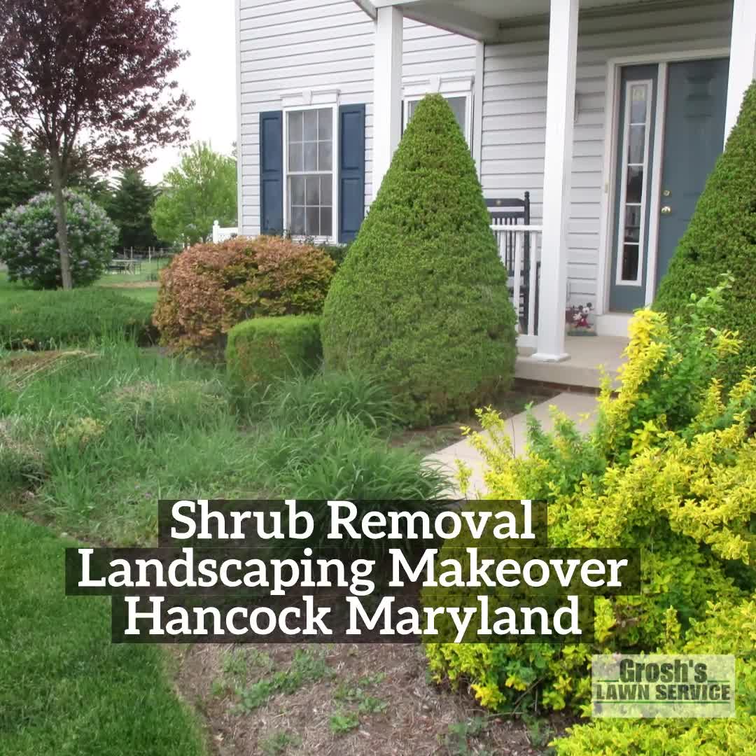Landscaping Hancock Maryland Shrub Removal