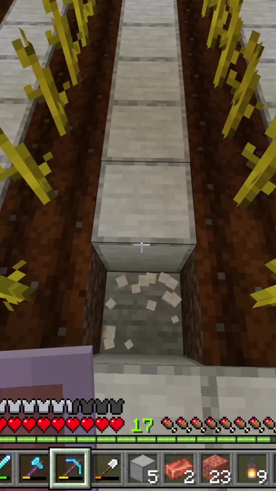 Don't make this Mistake in Minecraft!