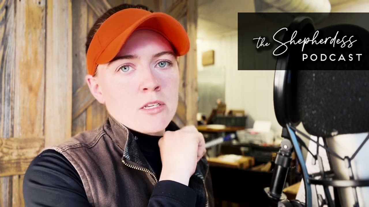 AMISH FARMER RAIDED (again) 2024 | Pennsylvania DPAg v Amos Miller ...