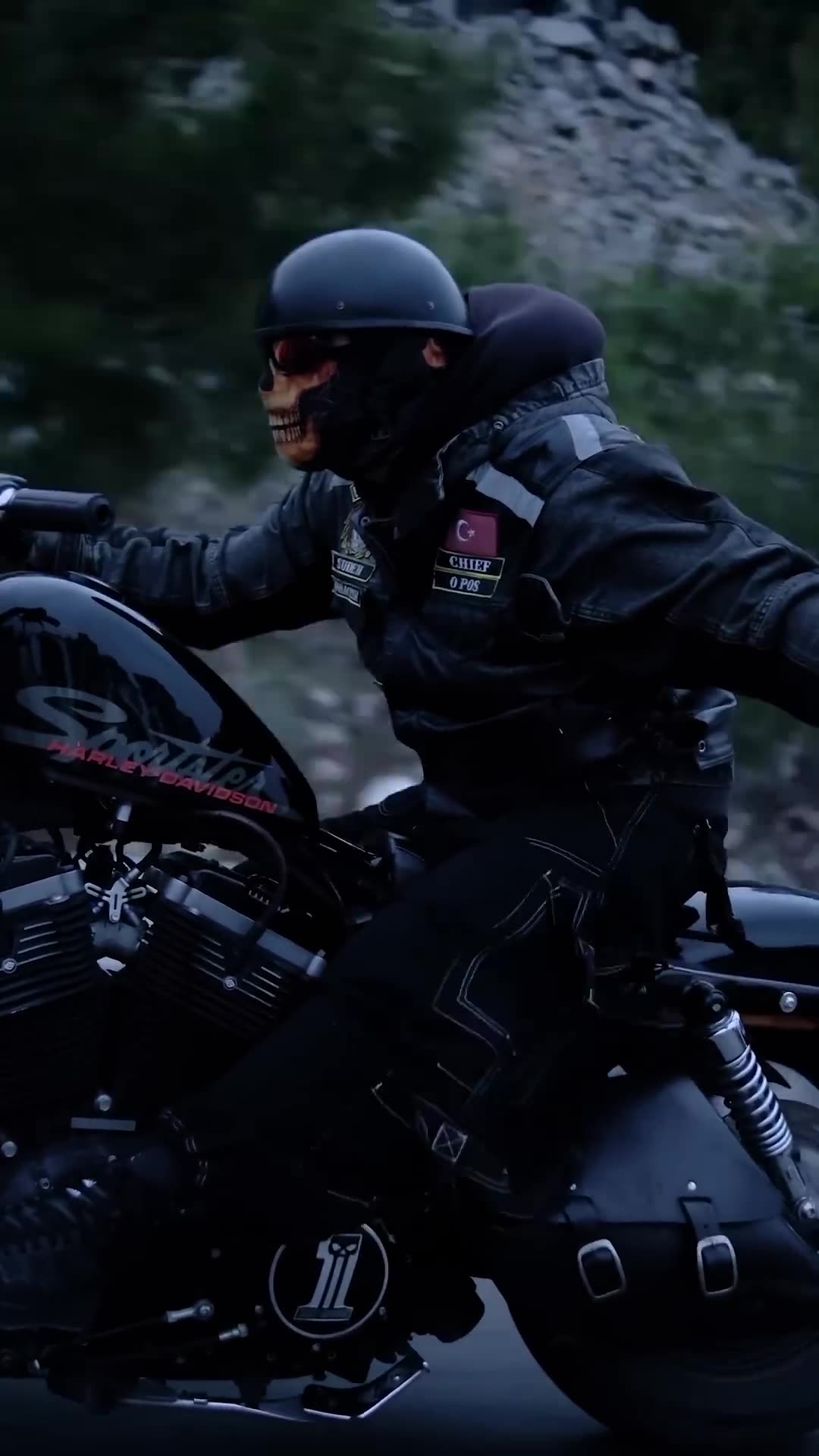 Harley Sportster