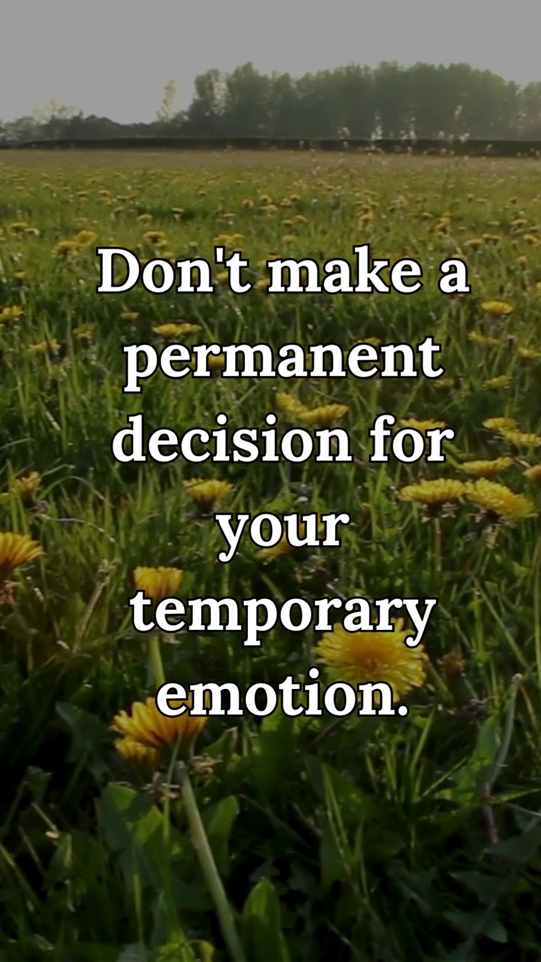 Temporary Emotions, Permanent Consequences