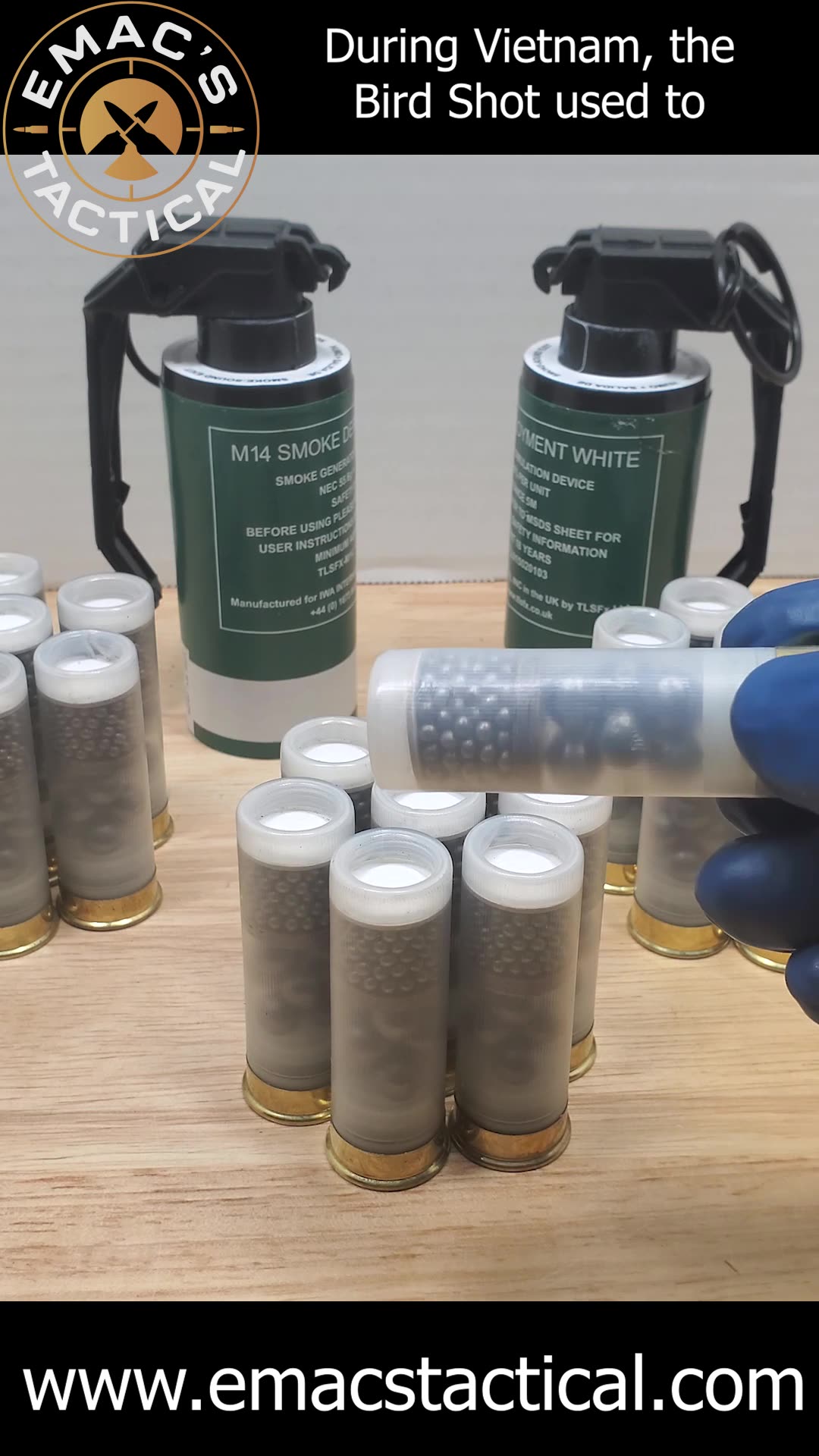 12 Gauge Rhodesian Jungle