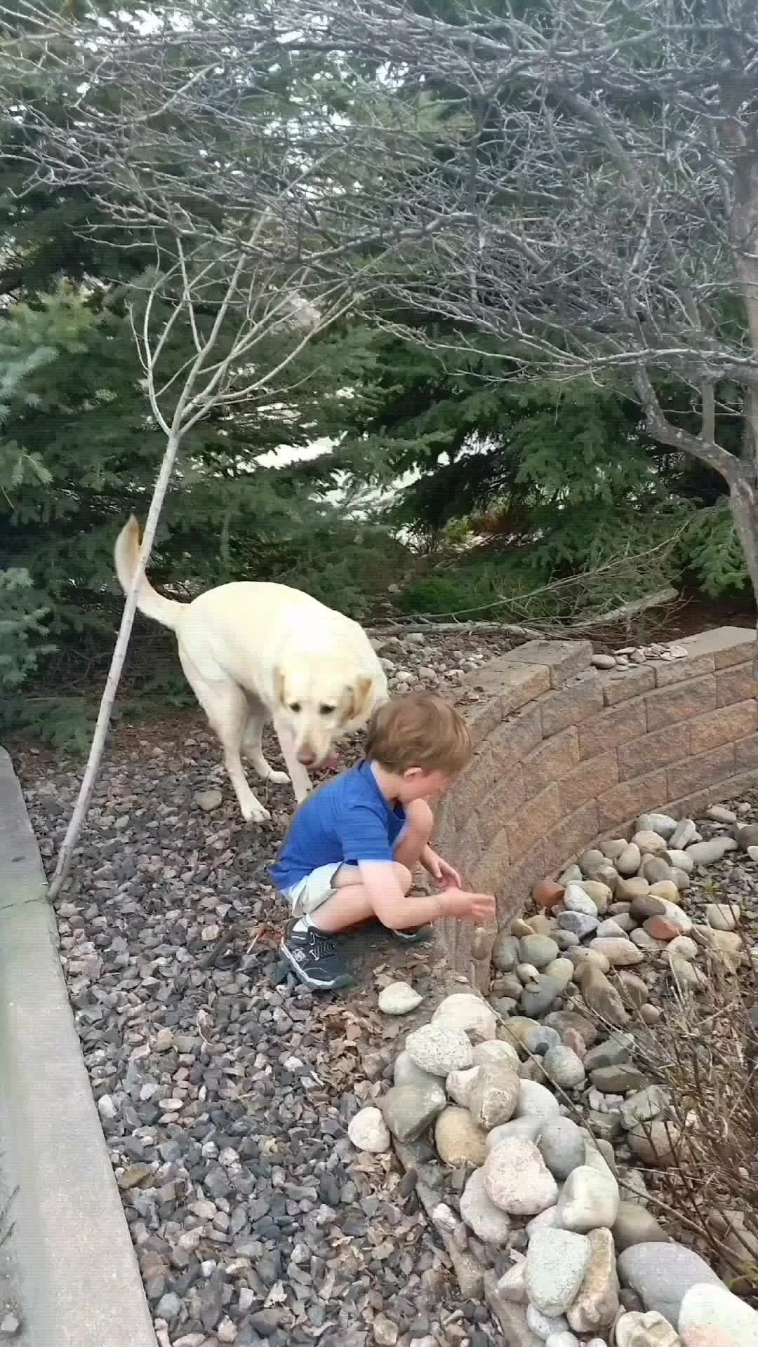 Drake and RILEY, a Boy and a Dog