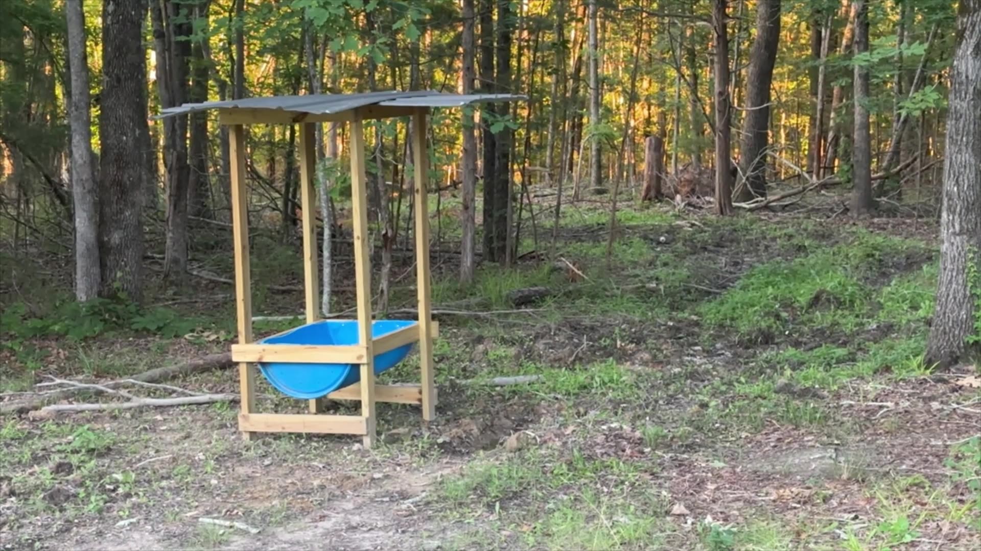Build Your Own Deer Trough Feeder - Easy and Encouraging DIY Project!
