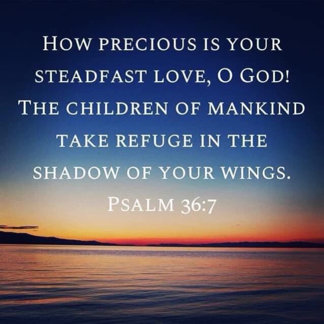 Psalm 36:7