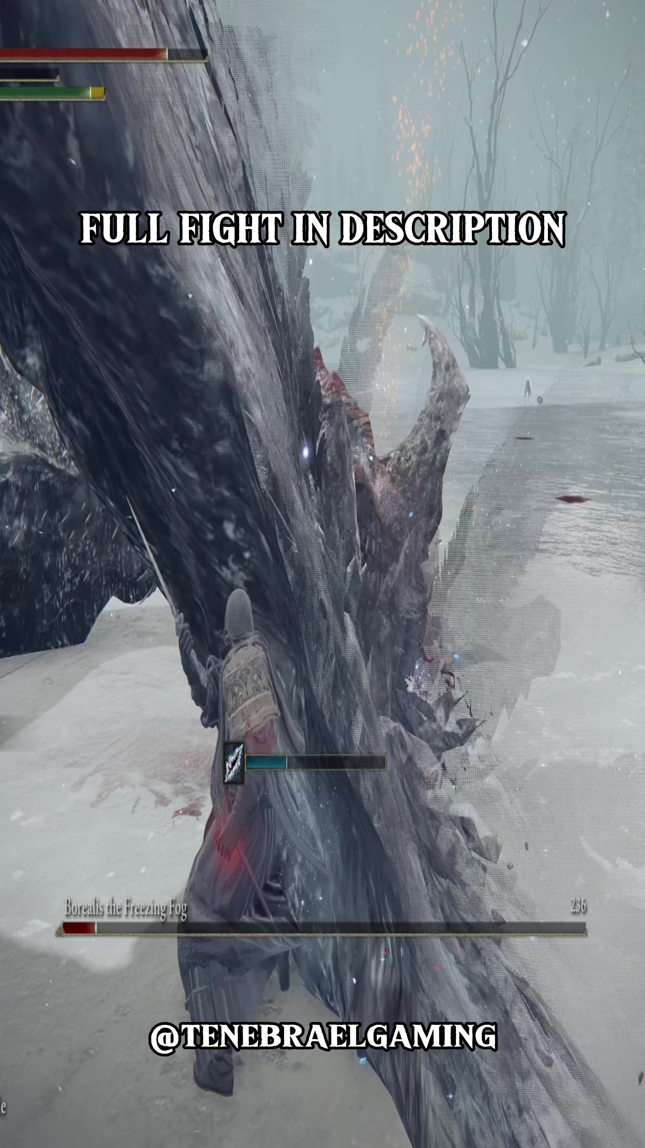 Borealis the Freezing Fog #eldenring #gaming #games #gamer