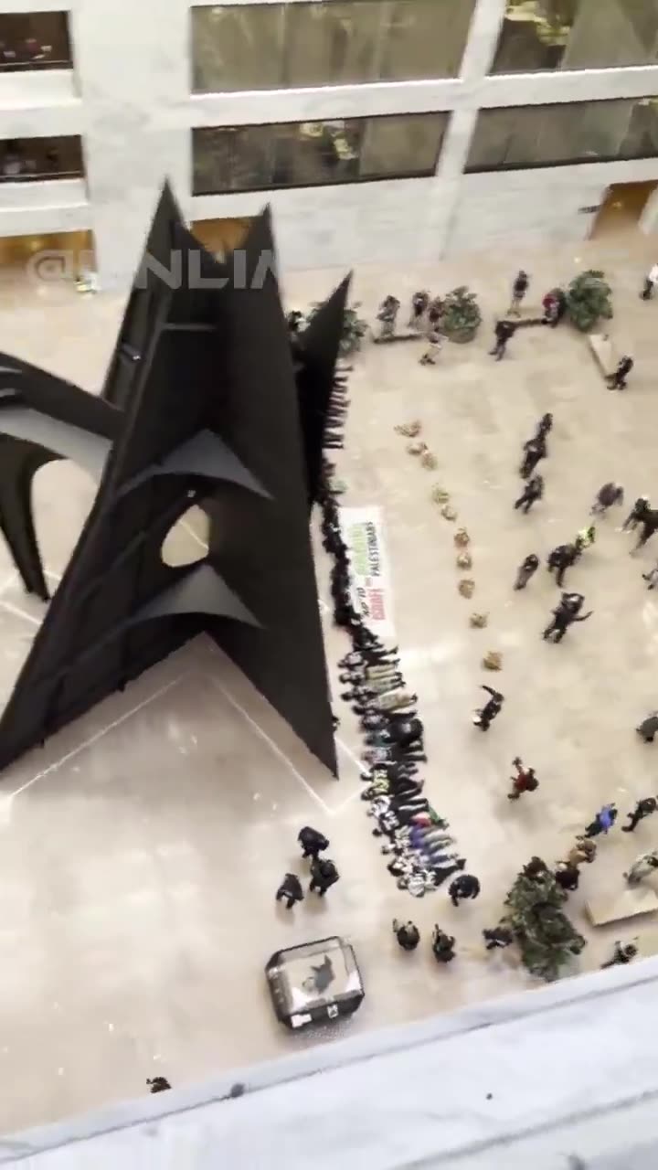 Dozens of Pro-Palestine took over the Senate Hart building