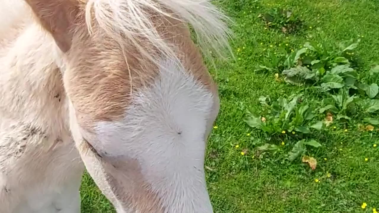 Keith Flaugh | Rescuing Our Children