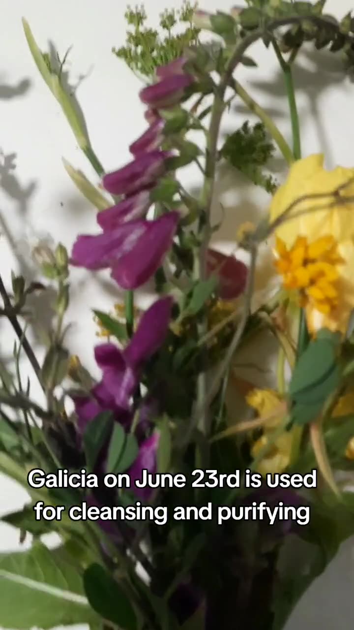Celtic magic potions for Solstice