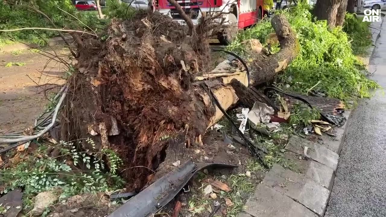 Пътен експерт за тежката катастрофа в Пловдив Няма спирачен път ударът е с над 200 км ч