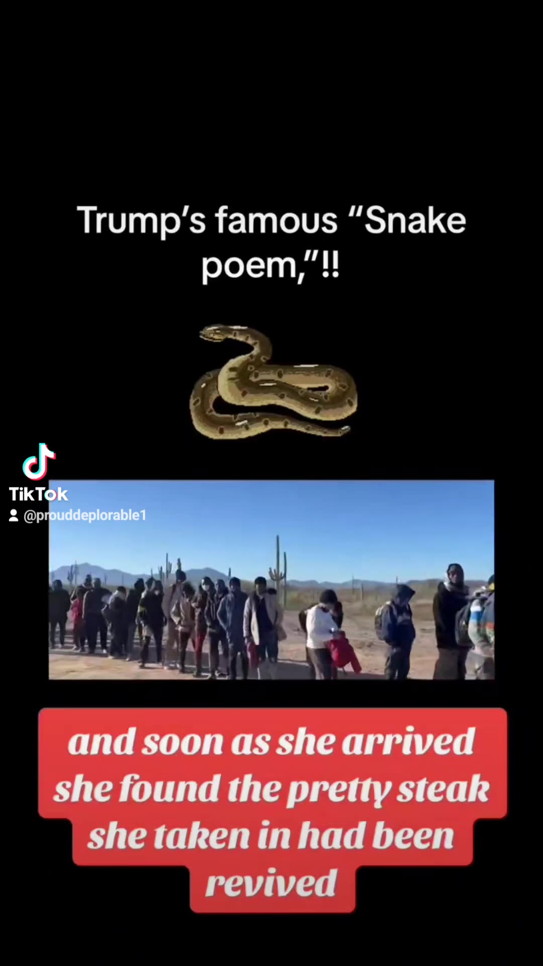 "THE SNAKE"