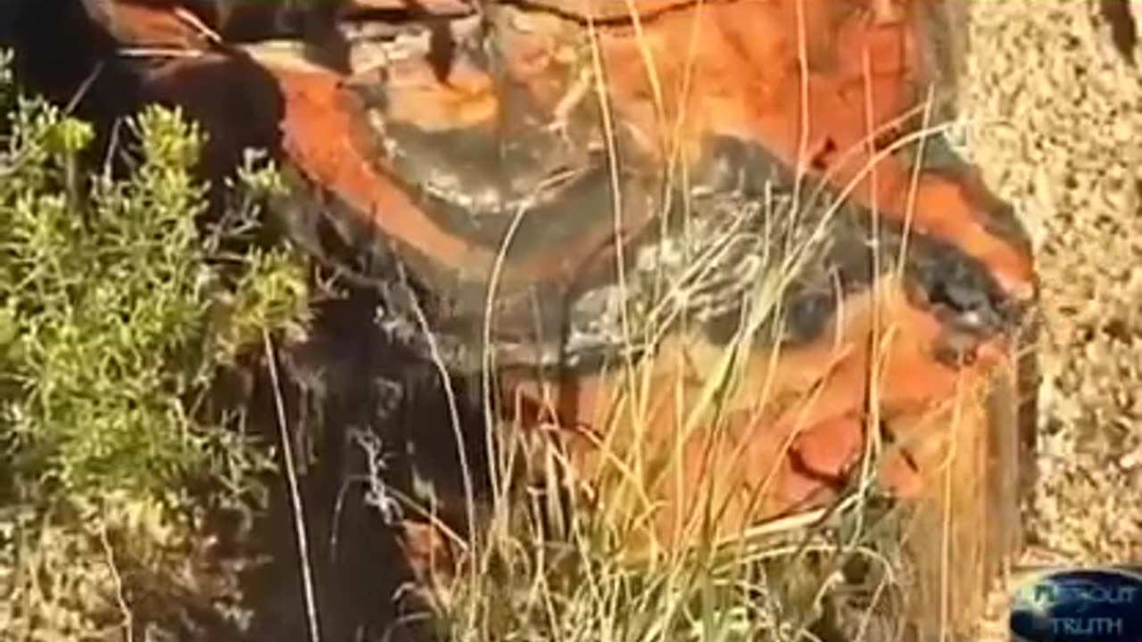 Dovo Solingen Straight Razor Wetshaving Supplies Spotlight