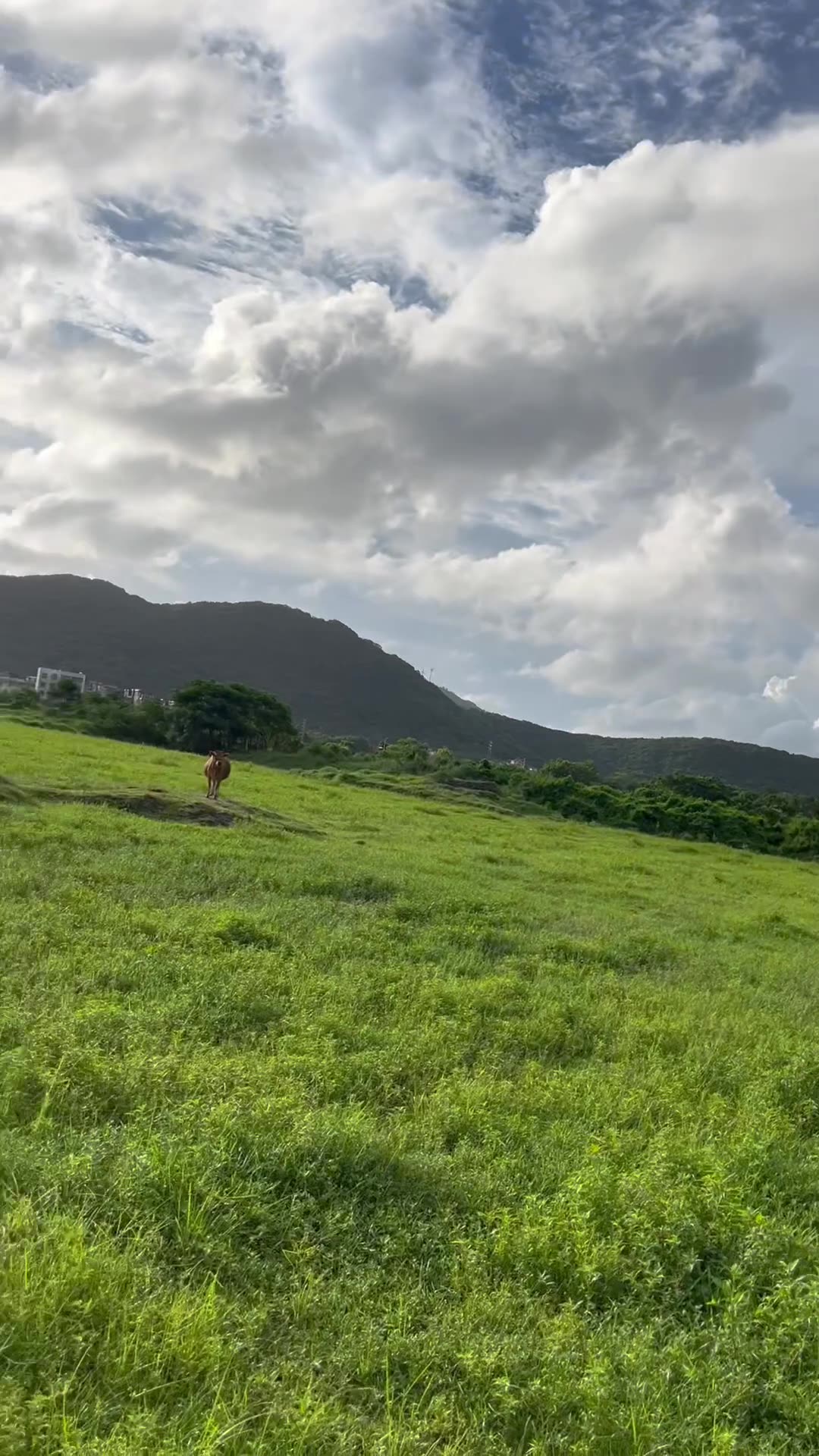 Hailing Island🇨🇳