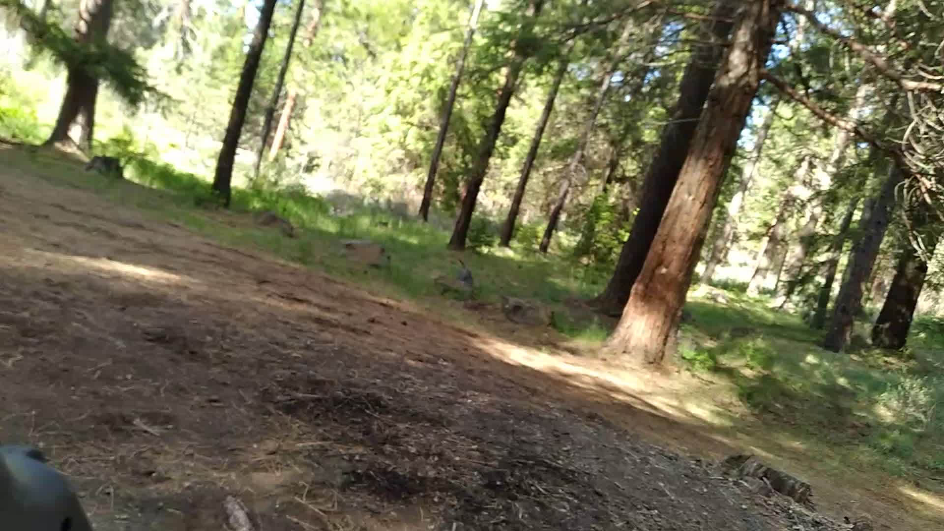 Happy diesel weasel and his stick