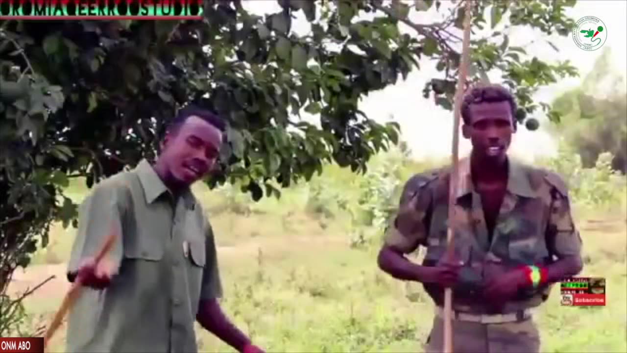 Oduu Ganama Onm Abo Waxabajjii 5 2024 Itti Dhuyaadhaa