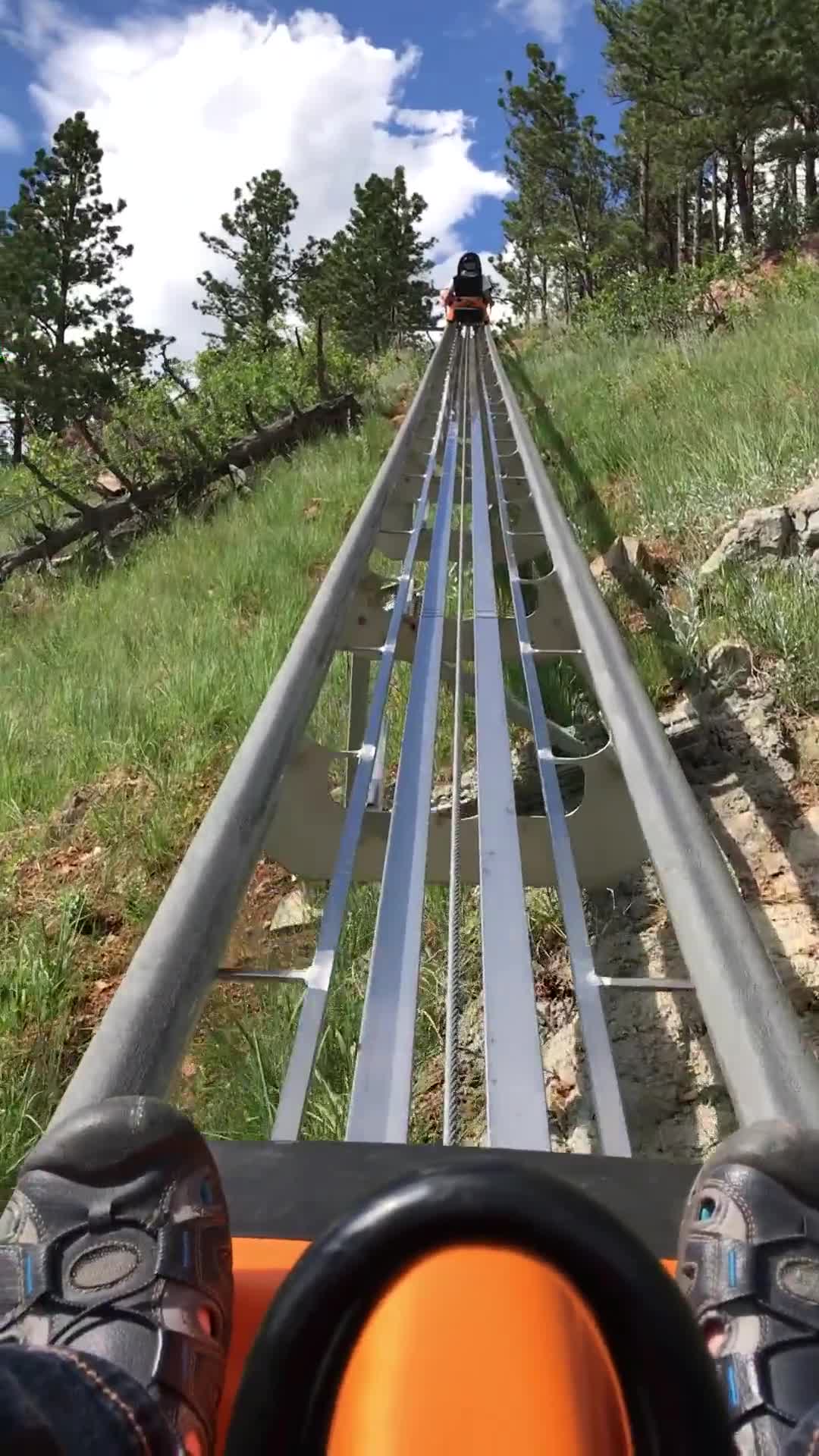 Mountain Coaster near Mt. Rushmore, South Dakota