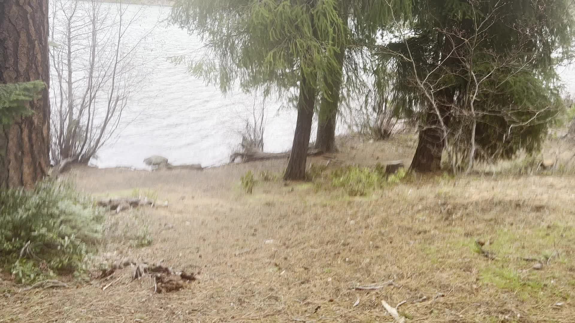 Assessing Lake Kayaking Access of Campsite #5 – South Shore Campground ...