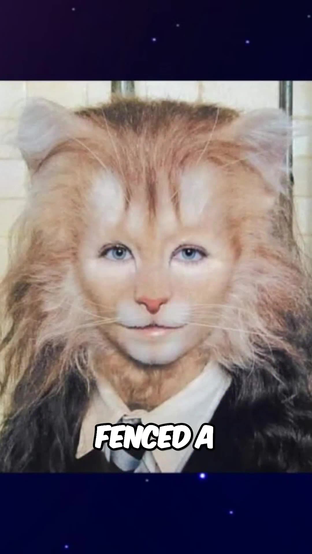 Creating Hermione's Petrified Body & Cat Face With Hermione Granger ...