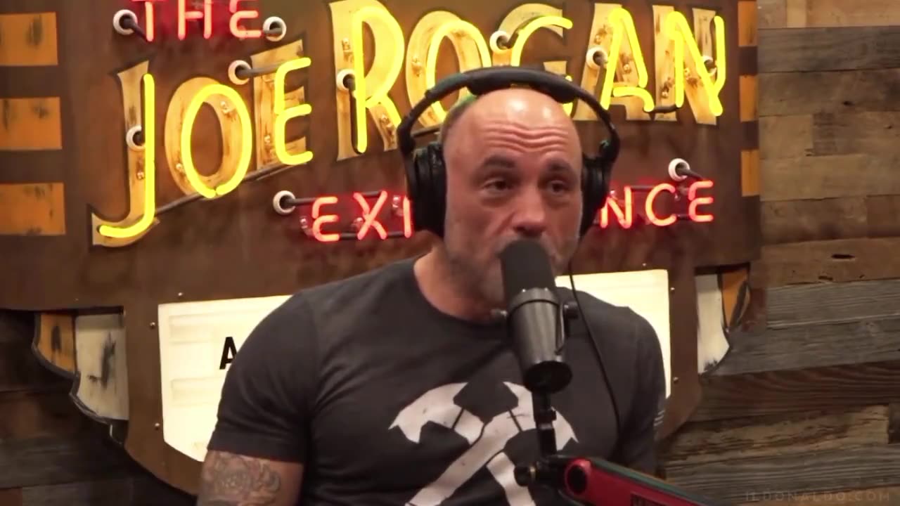 ENOUGH! Rogan Talks Target, Bud Light Controversy: 'Stop Shoving This ...
