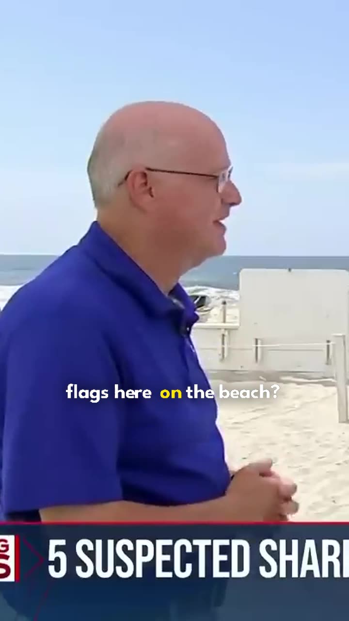 News Shark Attacks in Long Island