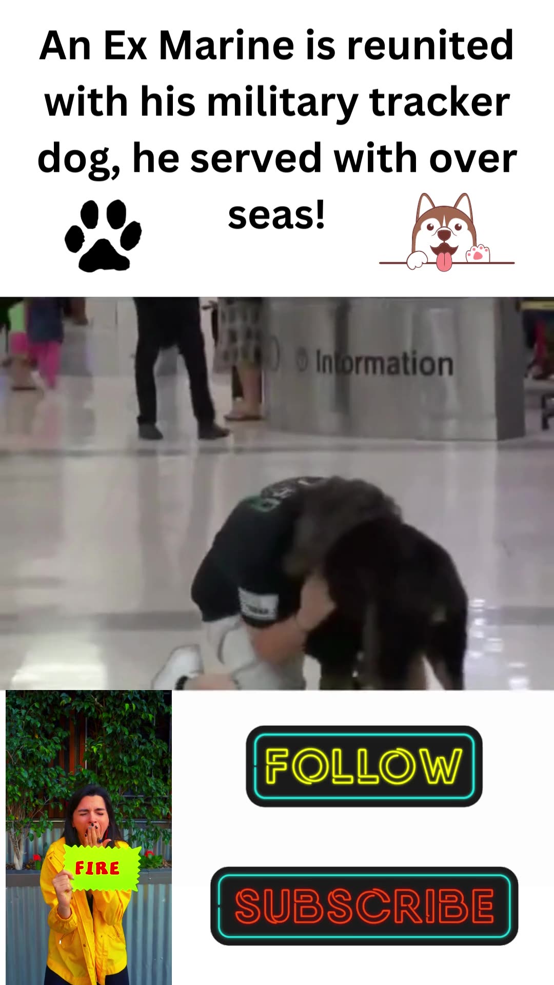 An ex Marine is reunited with his military service dog!