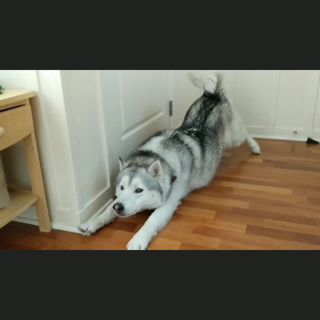 Compilation of husky's patented stretch slide