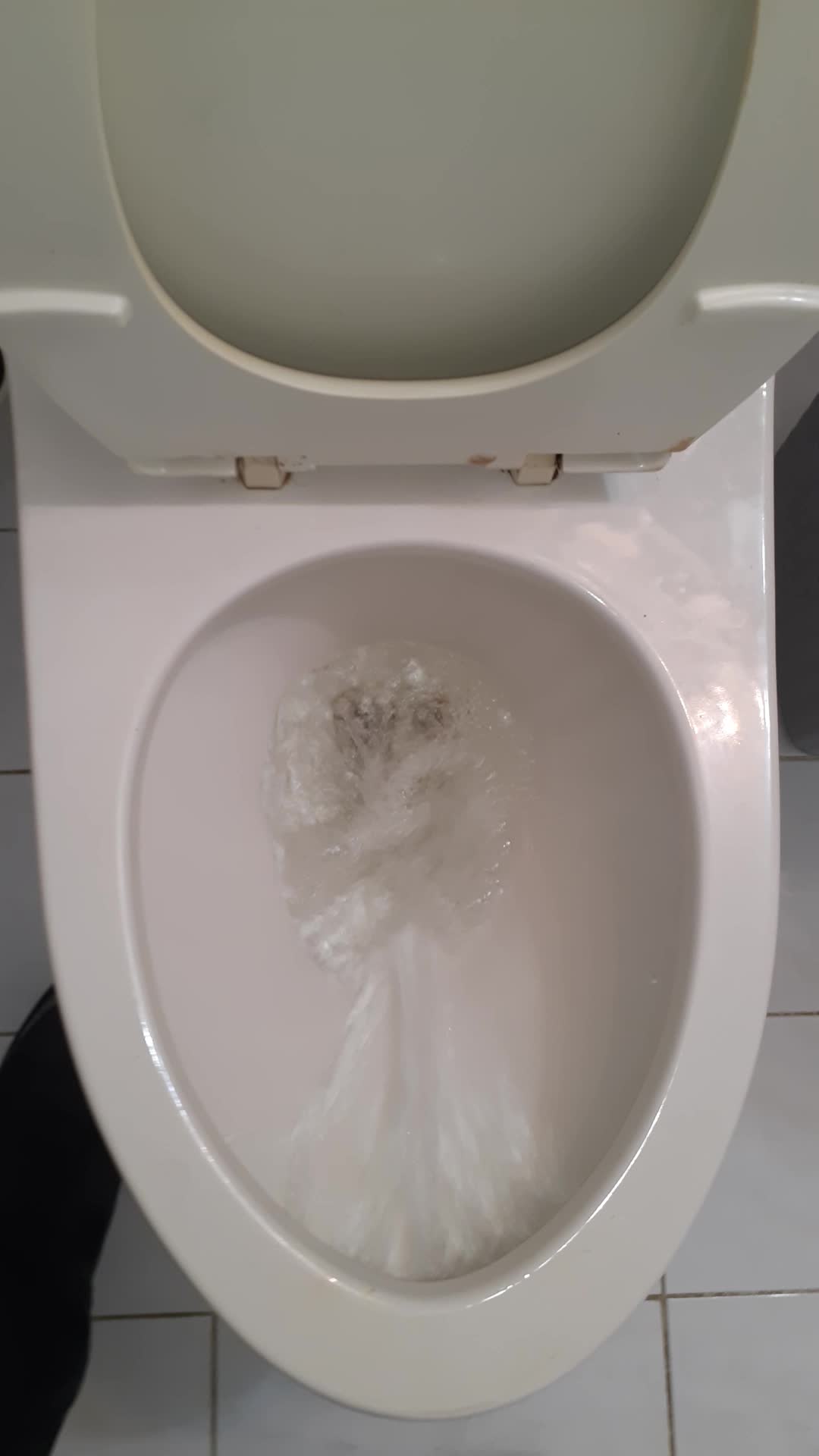 International Toilet Day